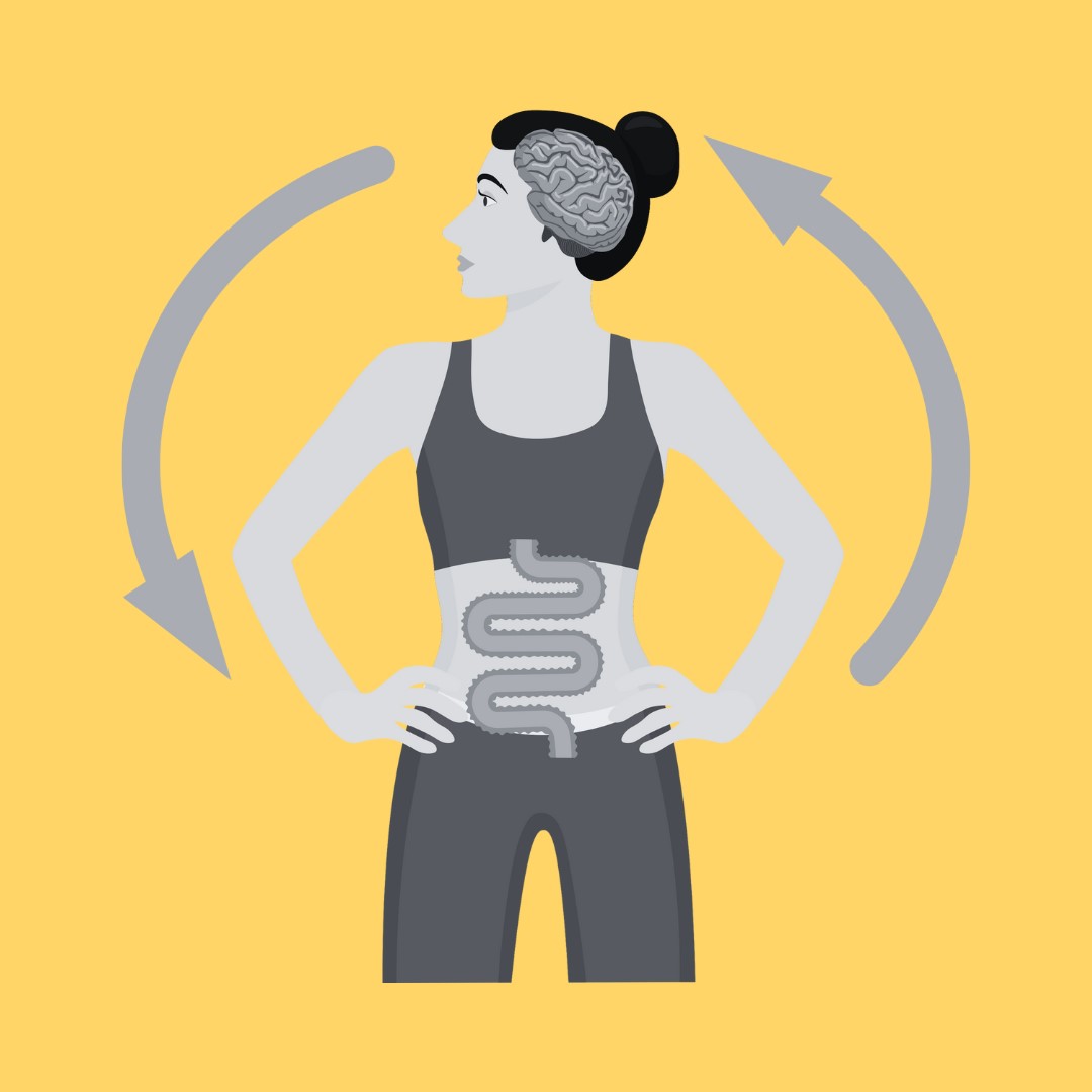 Understanding the Gut-Brain Axis – The Body Project